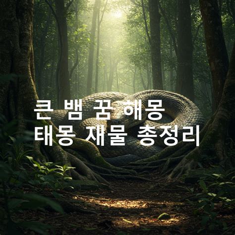 큰 뱀 꿈 해몽 태몽 재물 총정리