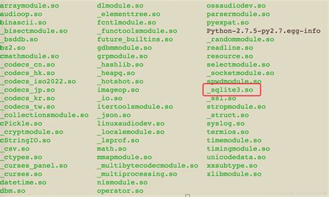 Python无法引用sqlite3，报importerror No Module Named Sqlite3 解决之道昇腾容器