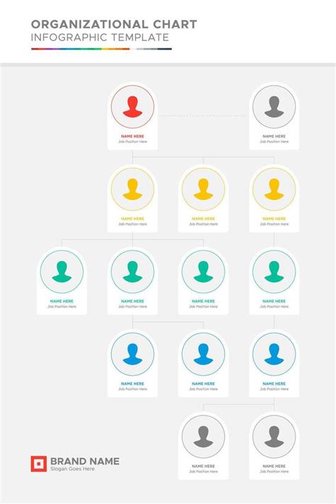 Organizational Chart Tree Diagram Dendrogram Business Infographic
