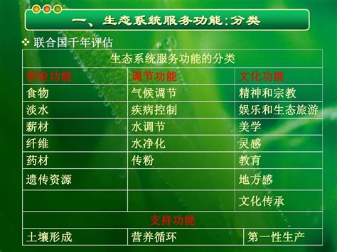 生态系统服务功能价值评估 word文档在线阅读与下载 无忧文档