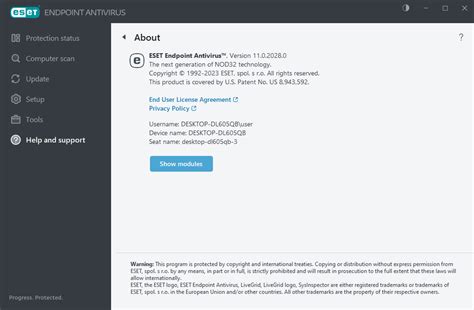 About Eset Endpoint Antivirus Eset Endpoint Antivirus 11 Eset