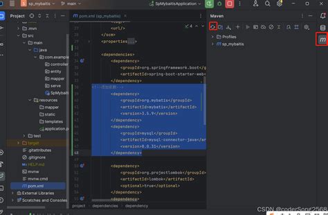 Java高级 【实验五】springbootmybatis操作数据库java Spring Boot Mybatis Csdn博客