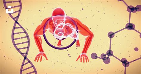 원 안에 있는 인간의 컴퓨터 생성 이미지 사진 Unsplash의 무료 번역하다 이미지