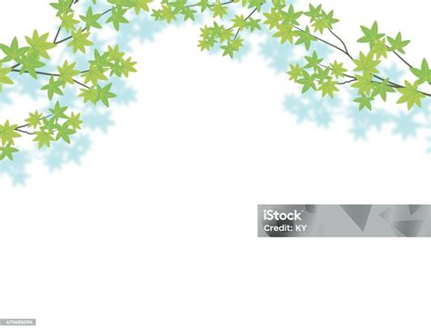 Background Illustration Of Green Maple Leaves Stock Illustration