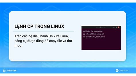 5 Ví Dụ Sử Dụng Lệnh Copy File Trong Linux Sao Chép đễ Hiểu