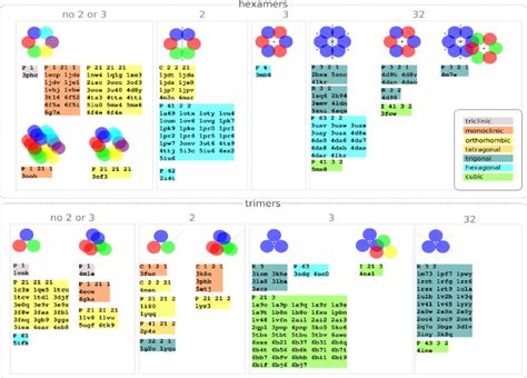 The Types Of Arrangements Of Monomeric Subunits Chains Of The Download Scientific Diagram