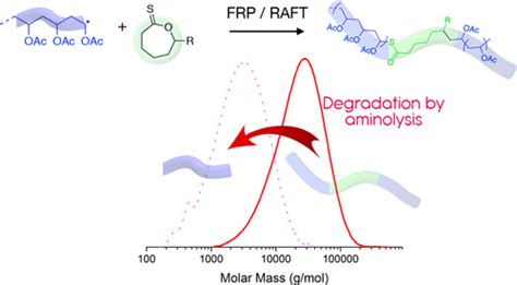 ε 硫代 己内酯自由基聚合的机理研究：一种将弱键插入聚（乙烯基酯）的有趣工具 Acs Applied Polymer Materials X Mol