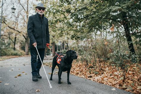 Blind People Could Recognize Characters Drawn By Scientists Using Electricity On Their Brains
