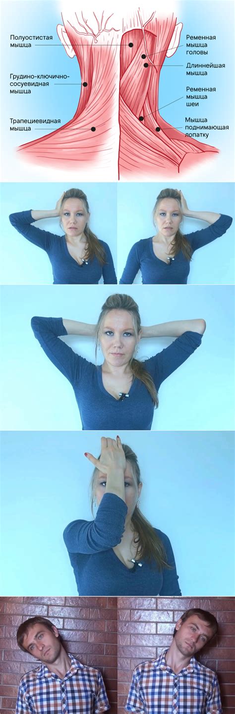 Как активировать шейный отдел позвоночника ПОЗВОНОЧНИК СПИНЫ И ШЕИ Постила