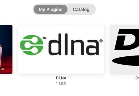 Error Dlna Error Updating Device Info Linux Emby Community