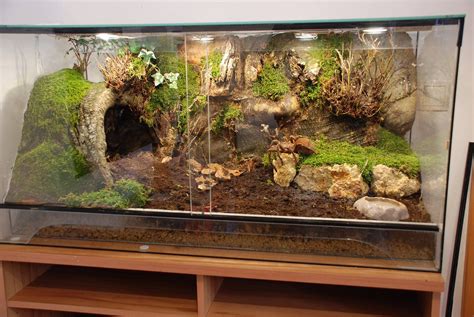 DIY Reptile Enclosure Guide Reptile Care All Pet Care