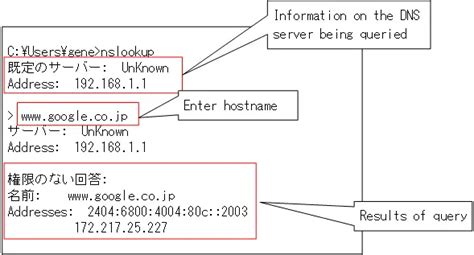 Nslookup Command Verifying Dns Name Resolution Tcpip N Study