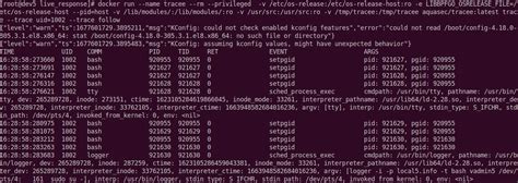 Linux Ebpf As A Double Edged Sword