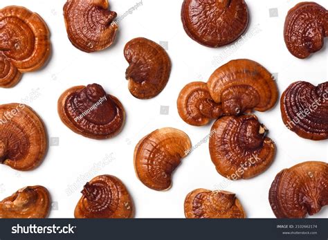 Mushroom Extract Over Royalty Free Licensable Stock Photos Shutterstock