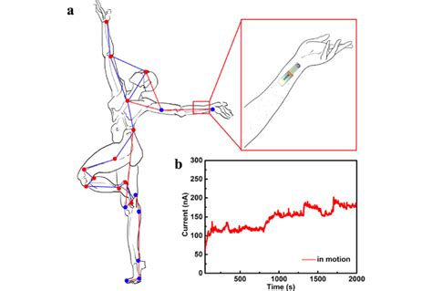A The Schematic Diagram Of Dancer In Dancing With Glucose Monitor B Download Scientific