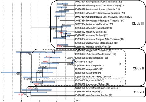Ultrametric Tree Based On Complete Cytochrome B Sequences Showing
