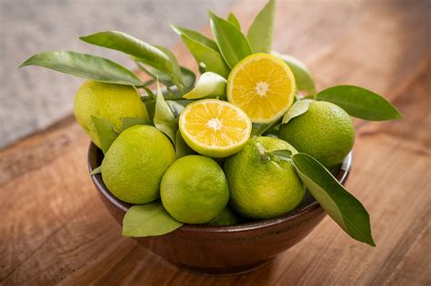 Sudachi Flavors By Bhumi