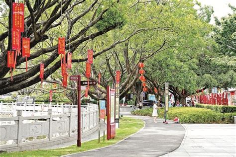 擦亮红色文化品牌 打造三生融合新标杆 深圳宝安网