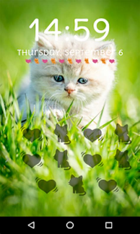 Kitten Lock Screen Pattern Passcode Cute Wallpaper Apk For Android