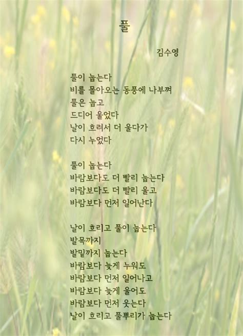 풀 김수영 네이버 블로그