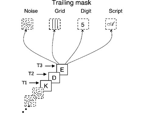 Schematic Representation Of The Display Sequence Of Stimuli In Download Scientific Diagram
