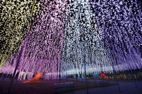 2022 2023年 あしかがフラワーパークのイルミネーション光の花の庭駐車場はチケットの割引情報も Nano Town