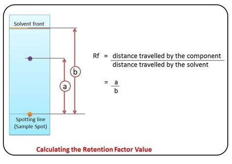 Paper Chromatography Definition Types Principle Steps Uses Paper Chromatography