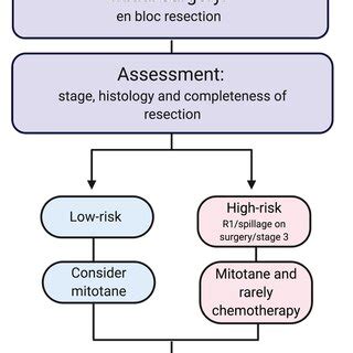 ACC Management Proposed Algorithm Download Scientific Diagram