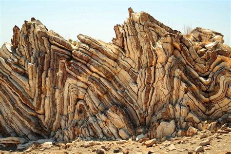 28 Facts About Deformation