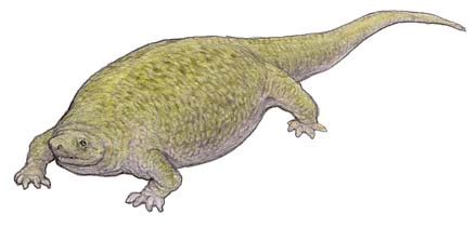 カセア Casea 川崎悟司イラスト集