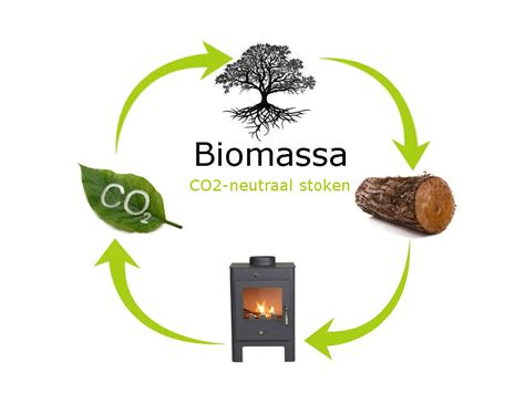 Duurzaam Met Biomassa