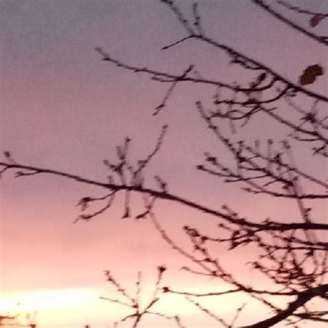 Kullanıcı Heval Ekşi Sözlük