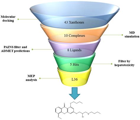 Flowchart Of The Strategy Used In The Study Download Scientific Diagram