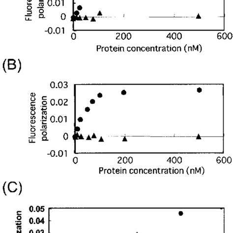A Binding Assay Of The 15 Mer Aptamer To The Thrombin Fluorescence Download Scientific