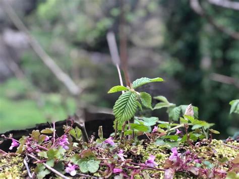 Pause Breathe Gently Be Present With Yourself Listen With A Kindness