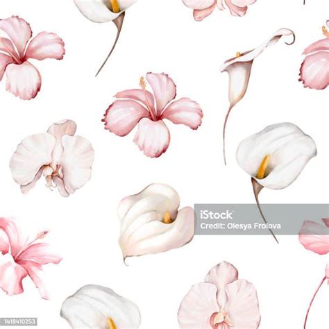 열대 꽃과 원활한 수채화 패턴 손으로 꽃 배경을 그렸습니다 난과 식물에 대한 스톡 벡터 아트 및 기타 이미지 난과 식물 연속무늬 0명 Istock
