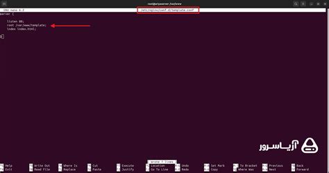 آموزش نصب و راه اندازی وب سرور انجین اکس Nginx بلاگ آریاسرور