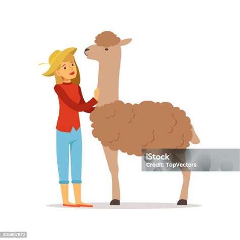 농부 여자 그녀의 알파 카 농업 및 농업 벡터 일러스트 레이 션에 대 한 배려 고기에 대한 스톡 벡터 아트 및 기타 이미지 고기 귀여운 농부 Istock