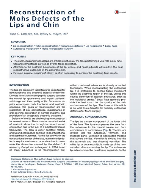 Reconstruction Of Mohs Defects Of The Lips And Chin Pdf Lip Human