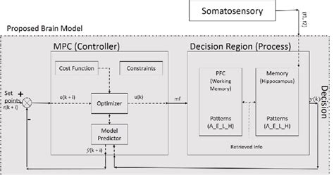 Proposed Model For A Closed Loop System Of The Spiking Neural Network