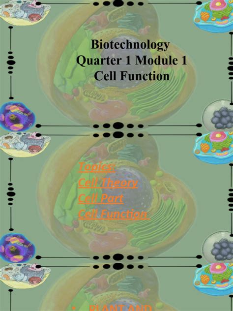 Module 1 Cell Functions Pdf Cell Biology Chloroplast