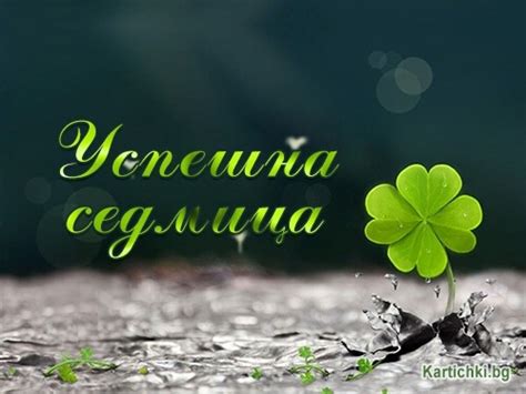 Успешна седмица Karti4ki Eu