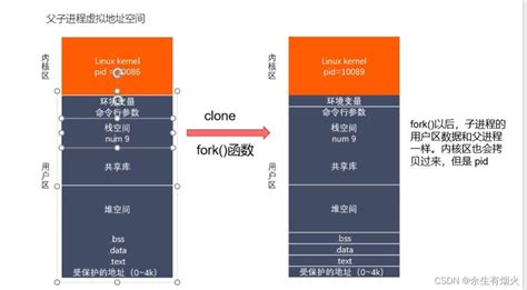 父子进程的虚拟空间子进程和父进程共享内存吗 Csdn博客