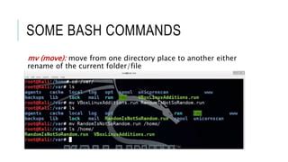 Bash Shell Scripting PPT