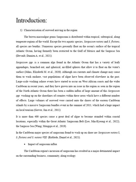 Intro Method And Lit Review Pdf