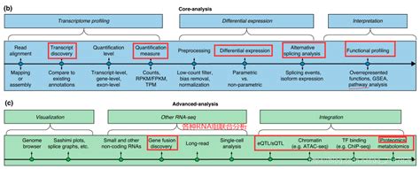 Omics精进07转录组之mrnamirnalncrnacircrna测序简介pythonic生物人的博客 Csdn博客