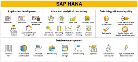 An Overview Of SAP HANA Tutorial Learn In 1 Day FREE Updated 2025