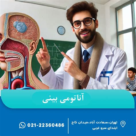 آشنایی با آناتومی و ساختار ساختمان بینی