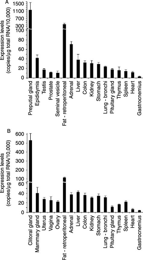Tissue MRNA Expression Levels Of Mouse 17b HSD12 Measured By Real Time Download Scientific