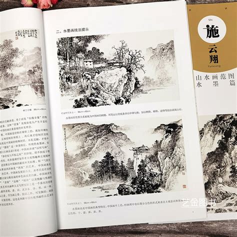 施云翔山水画范图水墨篇施云翔山水画作品集中国水墨画技法教程施云翔写意山水画山石画法传统山水画法天津人民美术出版社 虎窝淘